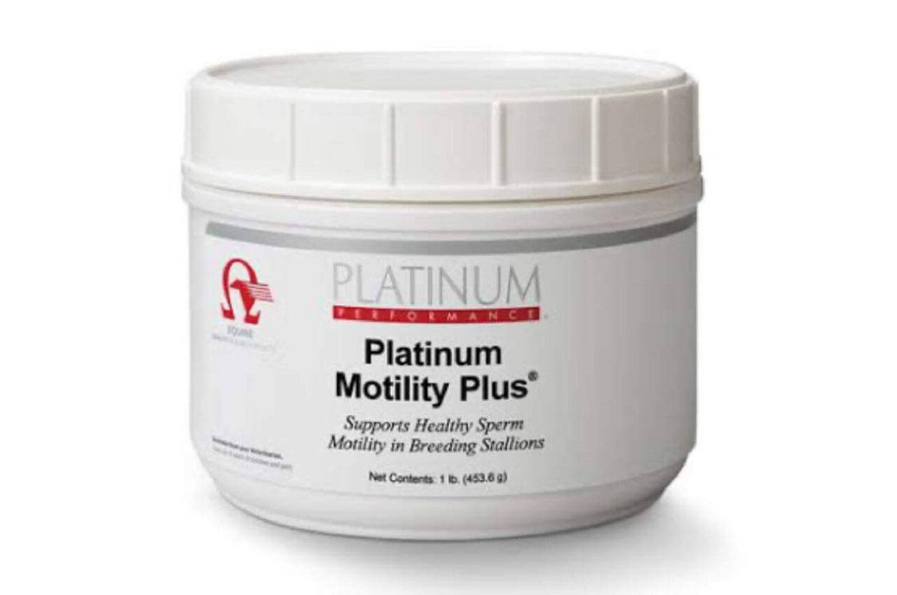 Platinum Performance - All NZ Sport Horses